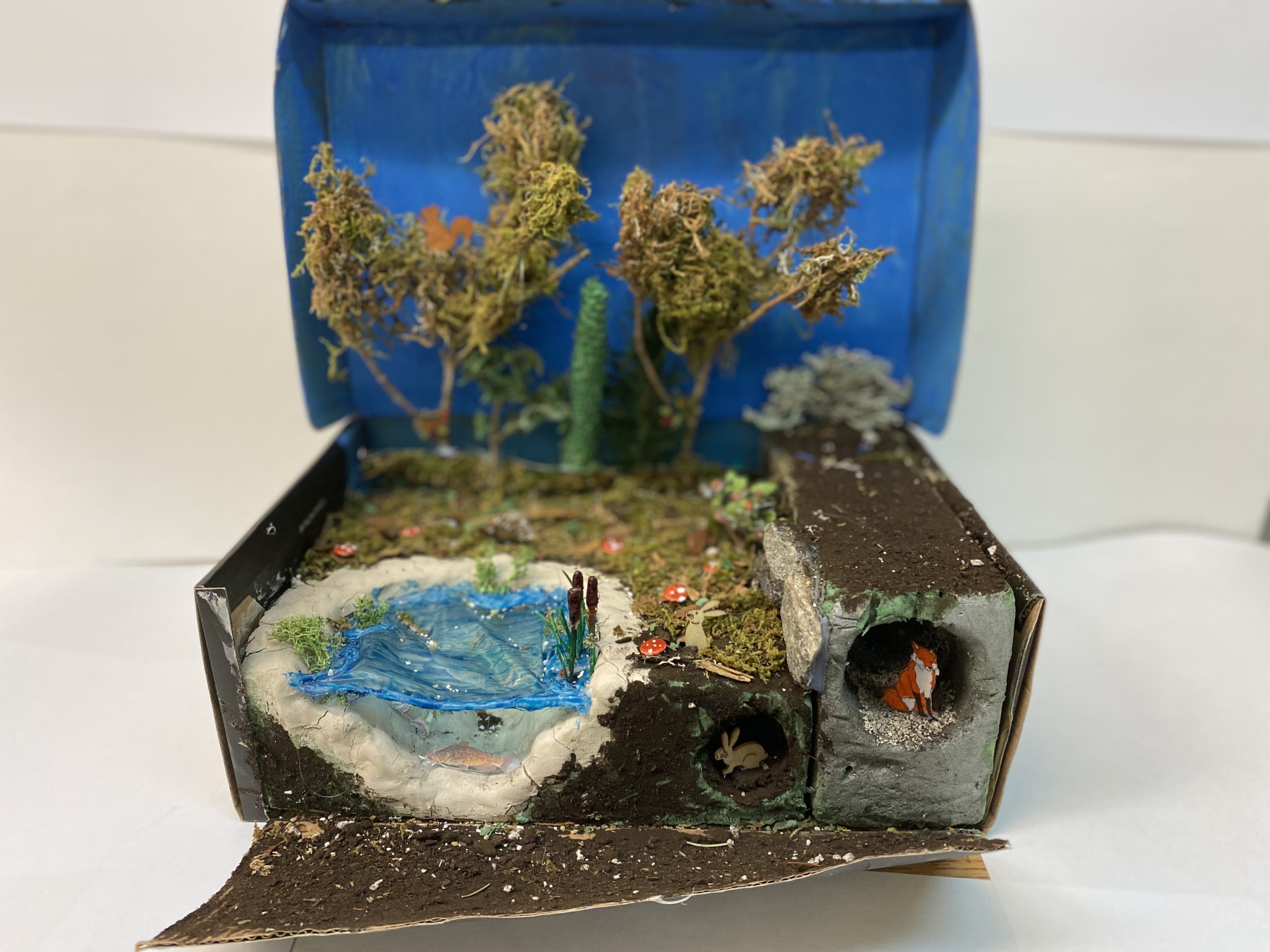 Concours «Mets ta forêt en boîte» - Association forestière de la Vallée ...